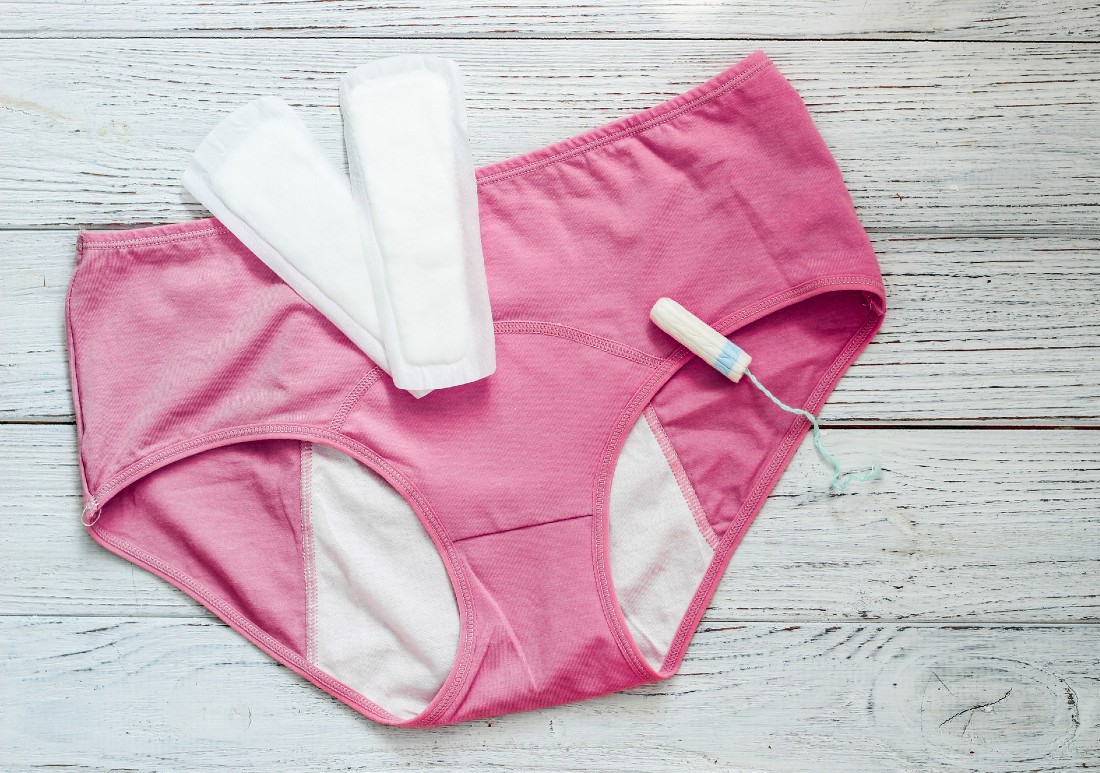 11 Best Period Underwear Options Of 2024 – PGMQ